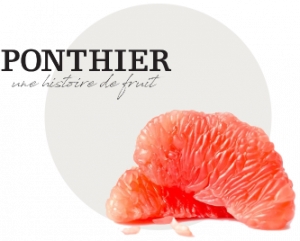 Pâtisserie GC | Créations Artisanales Pâtisserie d'Exception Alsace